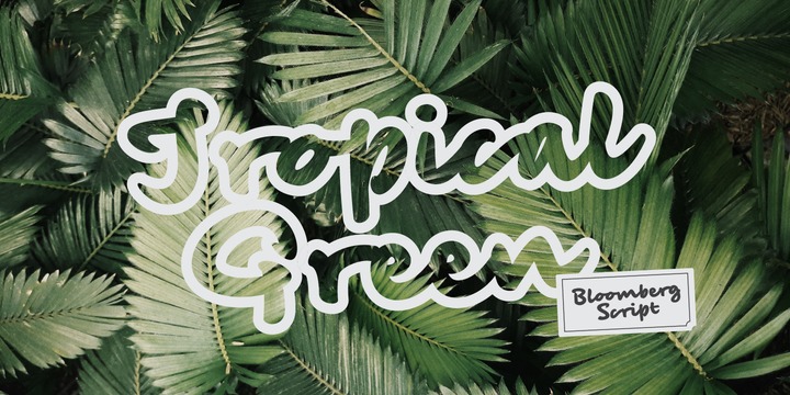 Bloomberg Script Font