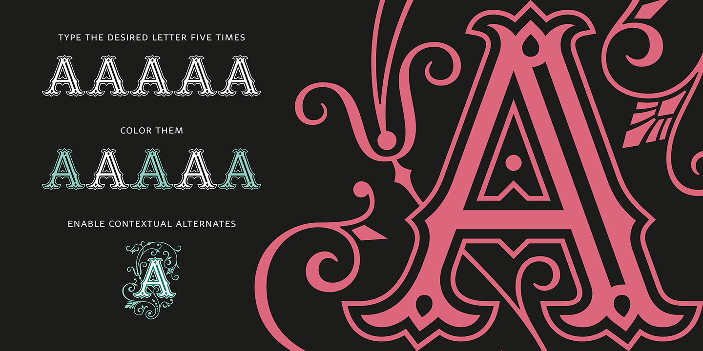 Ana Font