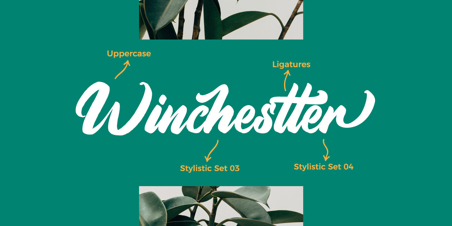 Aimchestar Font